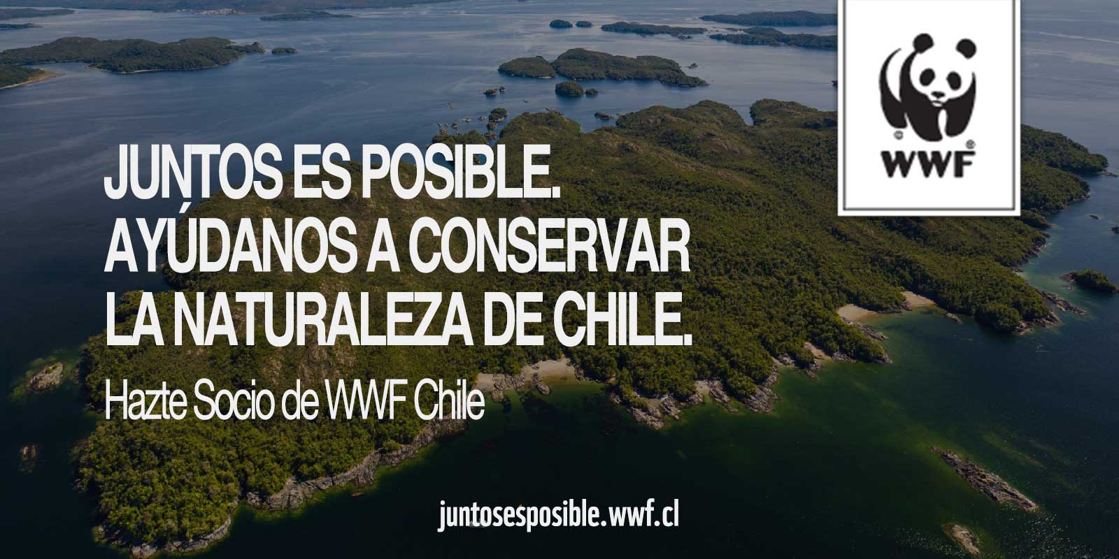 Únete a WWF Chile